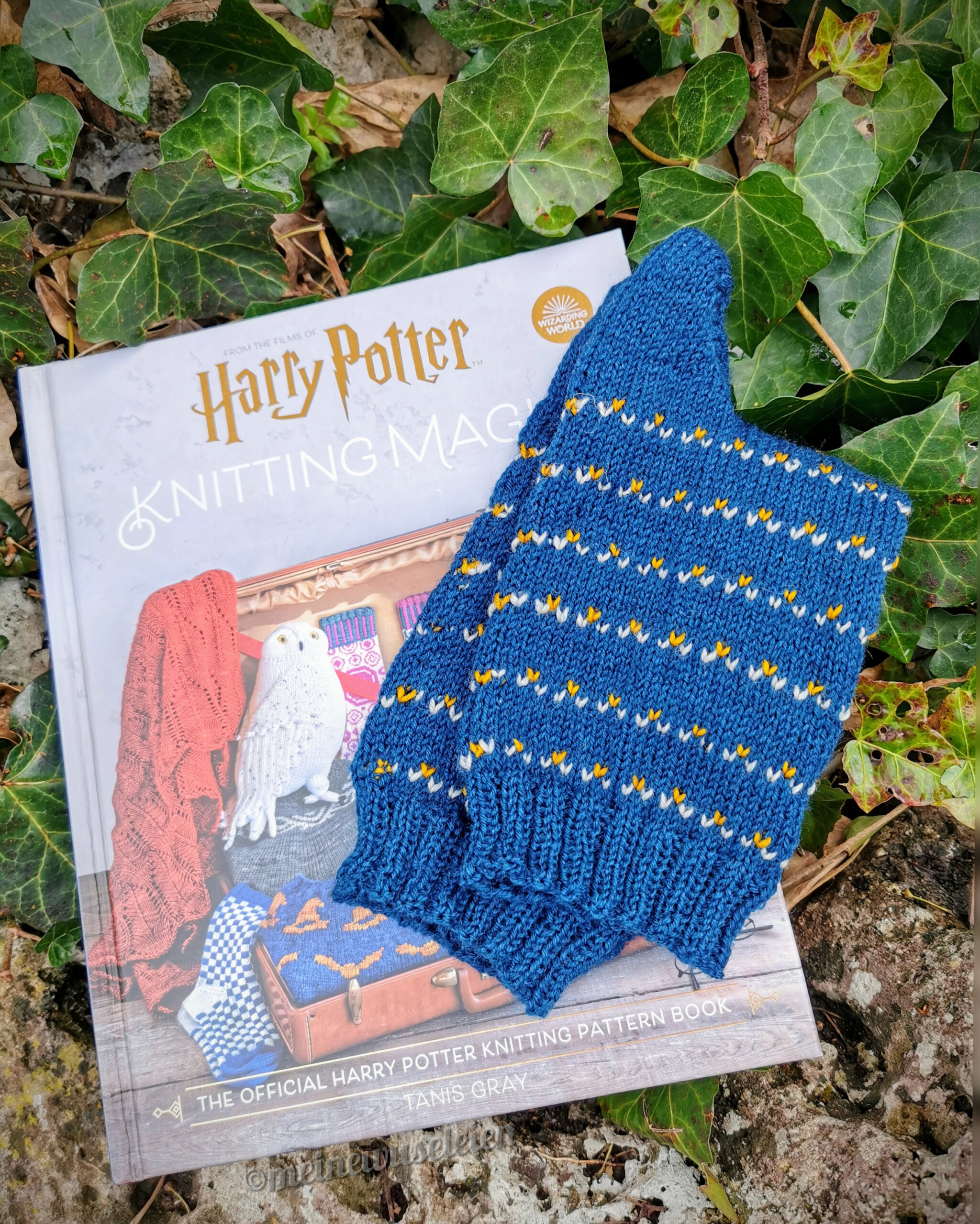 Golden Snitch Socks